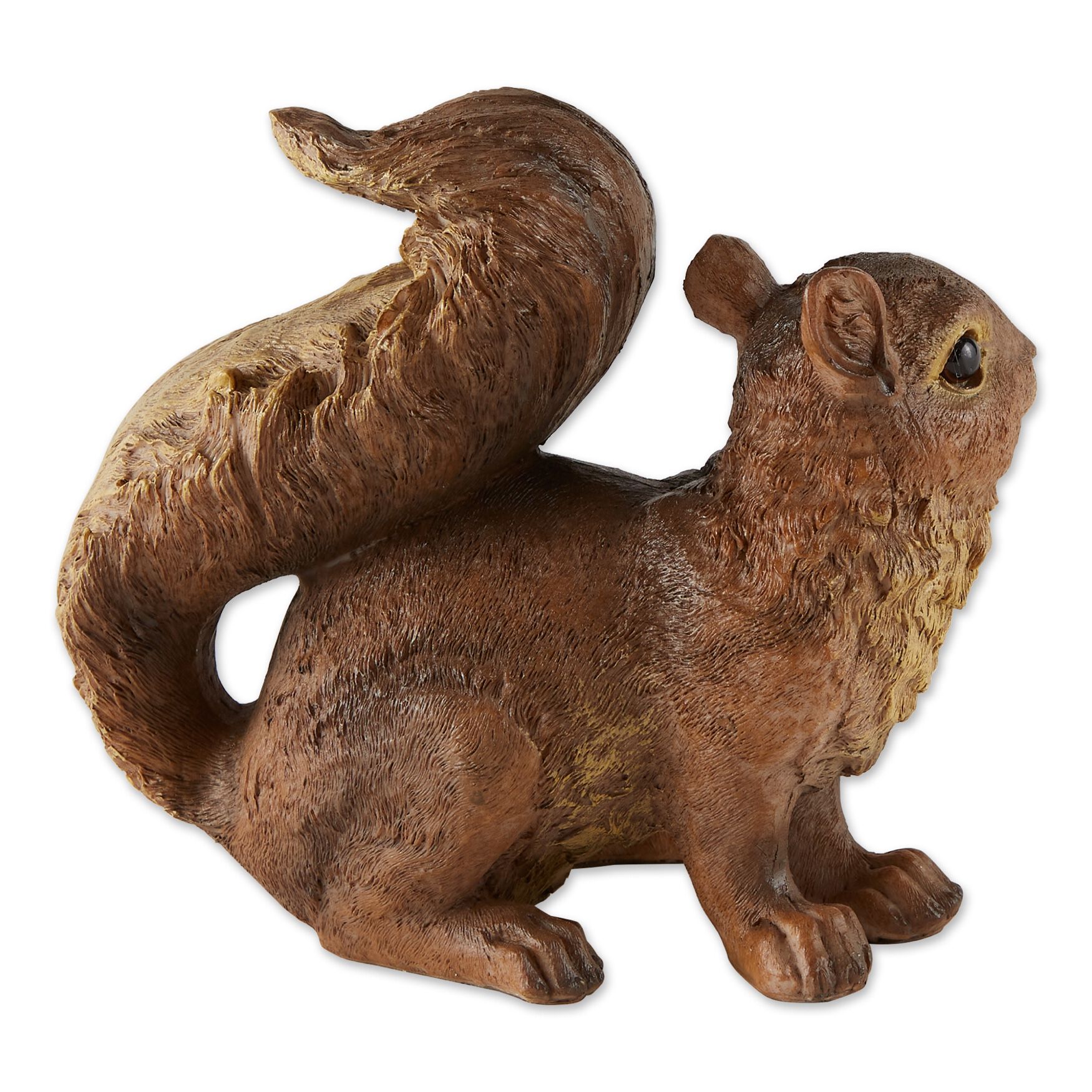Simple Curious Squirrel Garden Statue, 4433574 | Brylane Home