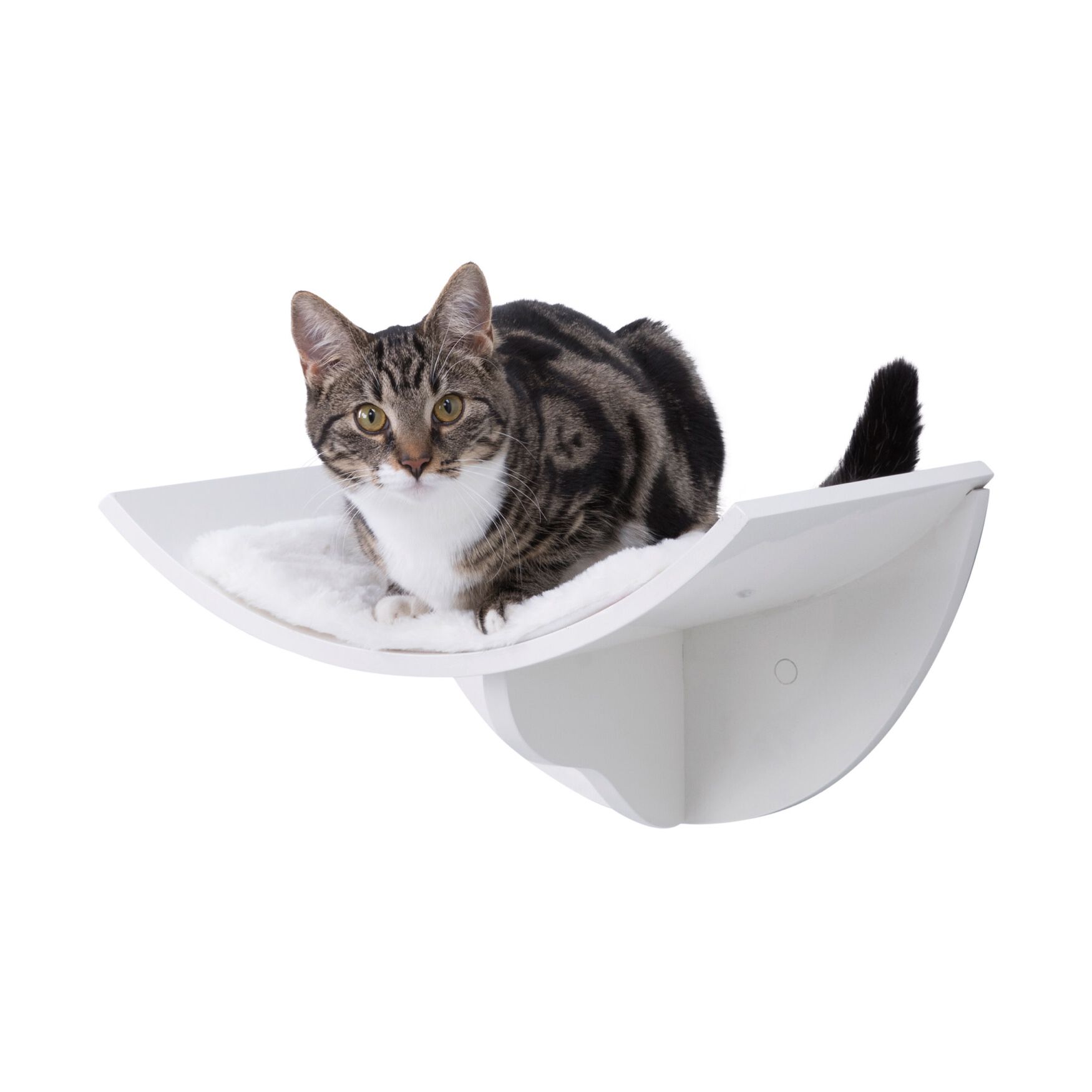 Simple Wall Mounted Cat Bed Platform, White | Brylane Home