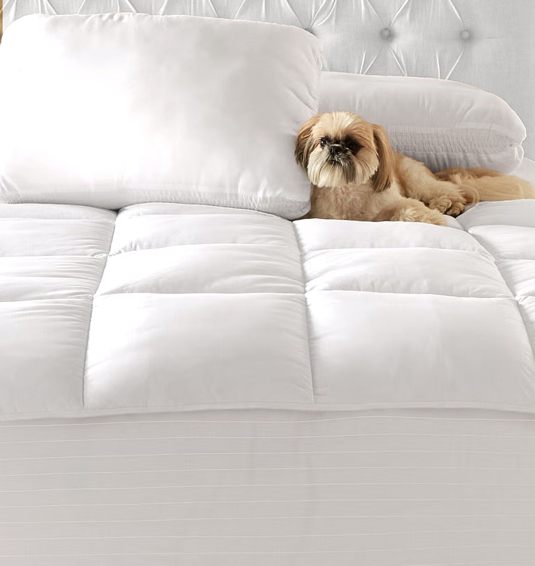 Home Furnishings & Décor | Indoor & Outdoor Furniture | Brylane Home